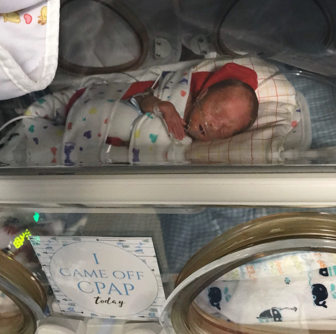 Boy Preemie Three Little Tots NICU Milestone Cards in Plastic