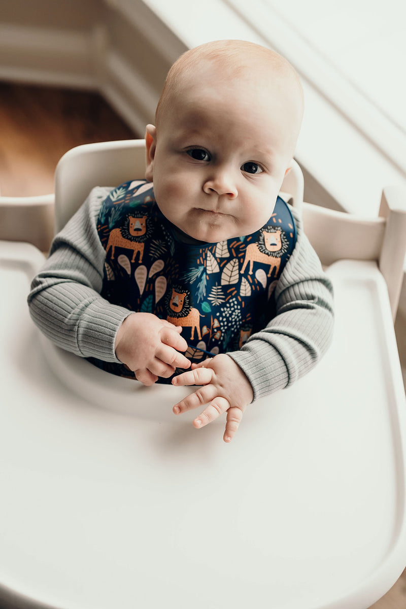 Lion Modern Boy Silicone Bib with Crumb Catcher for Toddlers – Three ...
